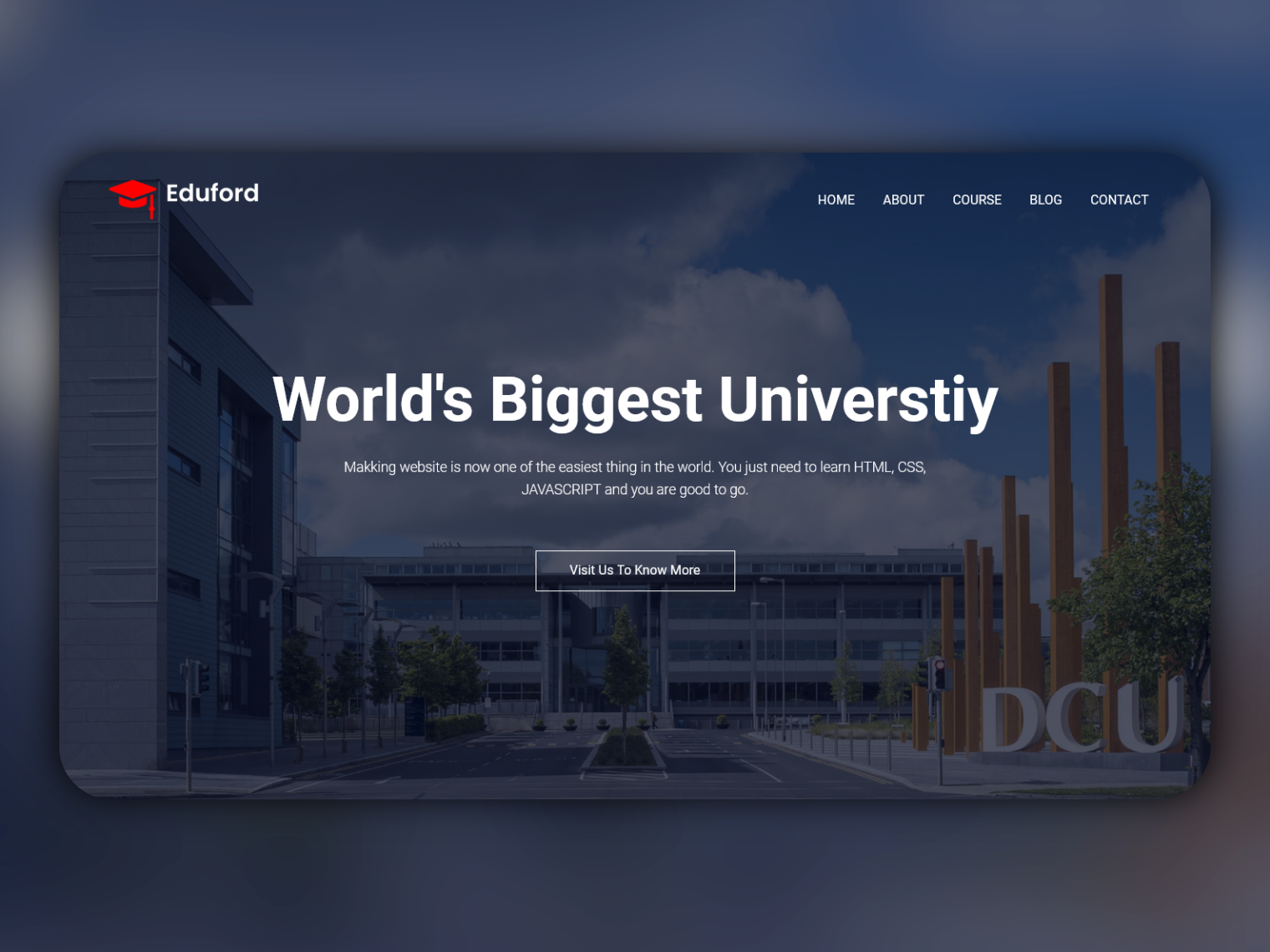 Assem Ned | Portfolio